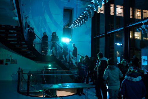 Twilight at the Museums 2019 - Cambridge Edition