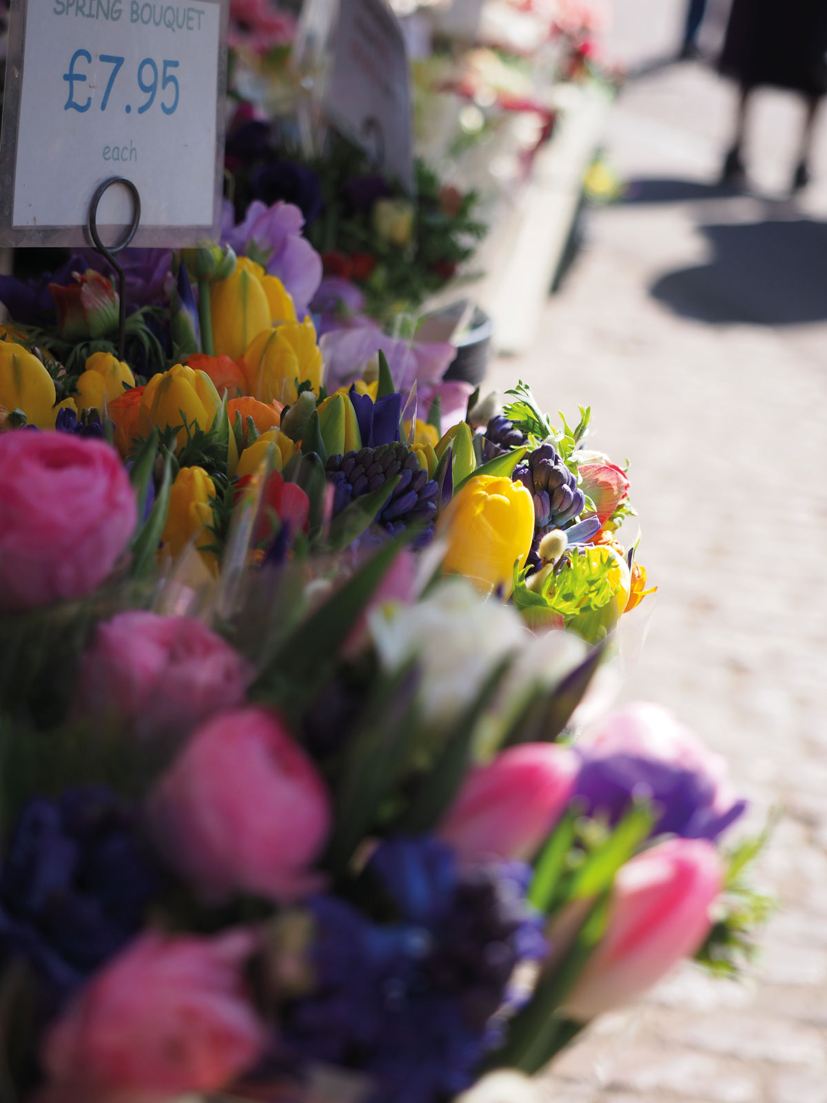 Cornering the Market | Cambridge Edition