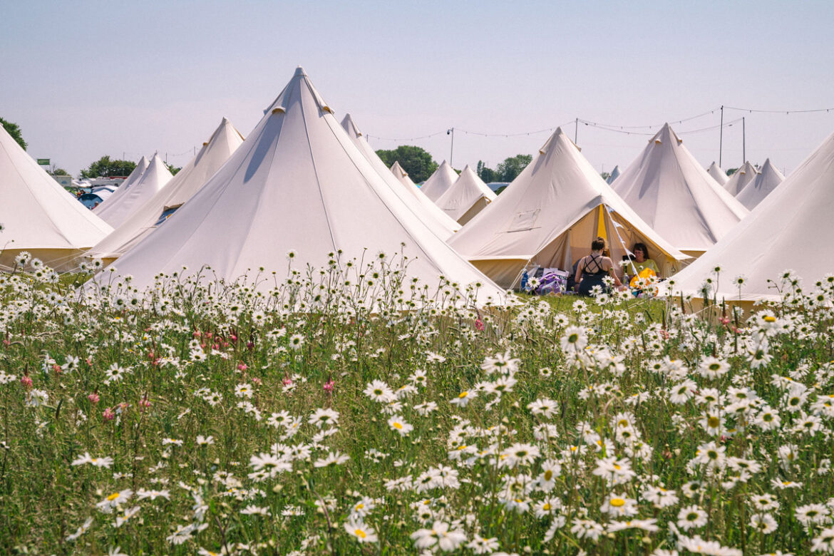 The Cambridge Club gets set to sparkle with stellar line-up - Cambridge ...